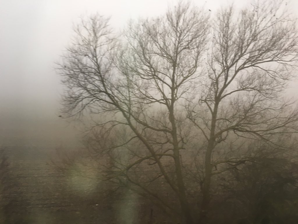 Kate Pullinger Katepullinger Twitter 2251