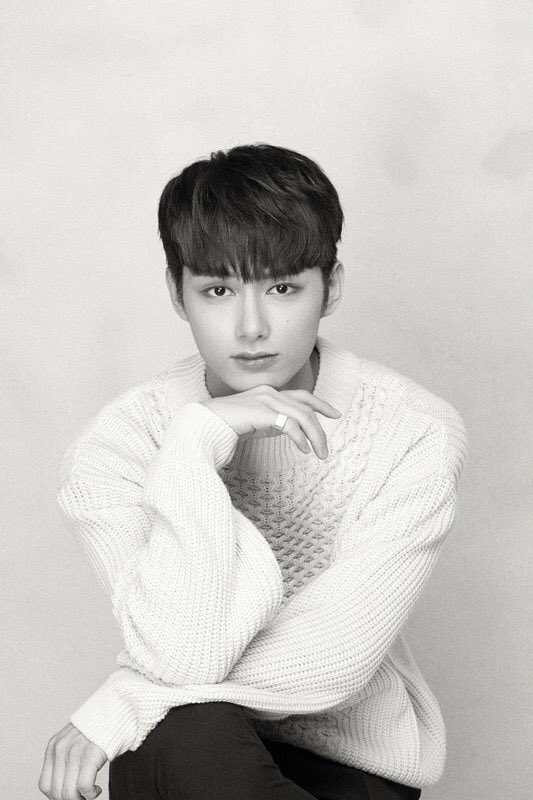 Seventeen – k-artists profiles