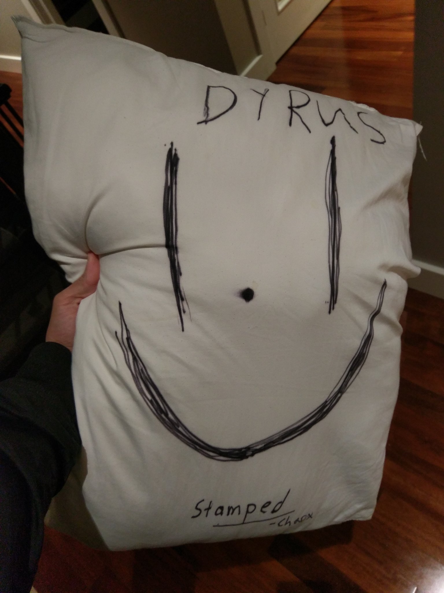 Dyrus Pillow