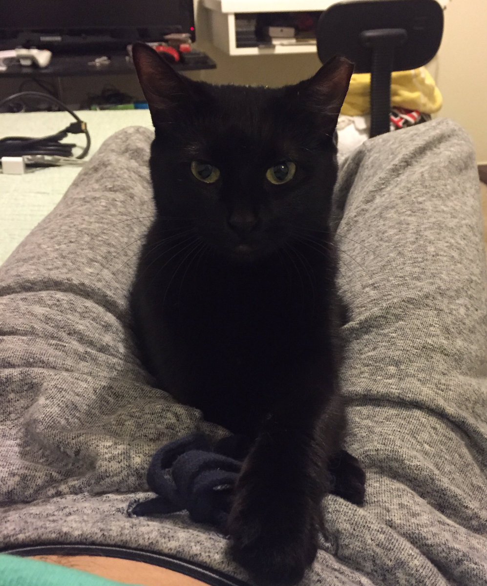 ブライアン (@Papi_Flacko) | Twitter