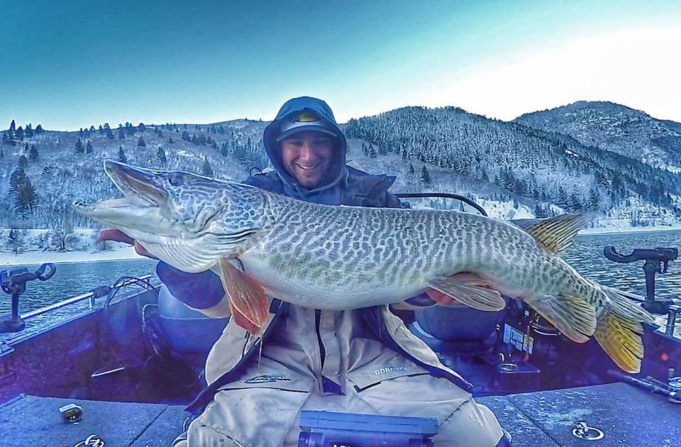Tiger Muskie Record