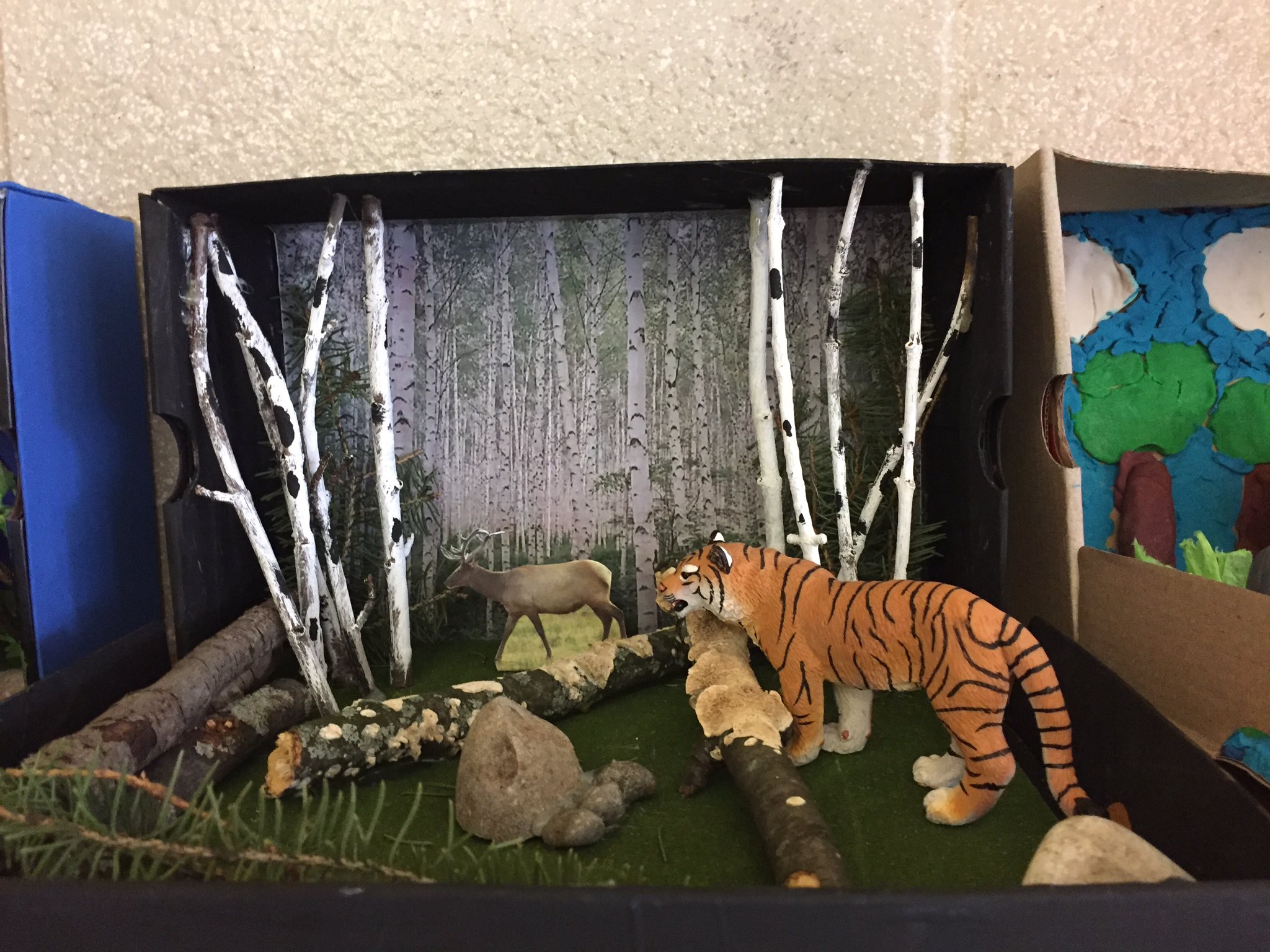 Tiger Habitat School Project