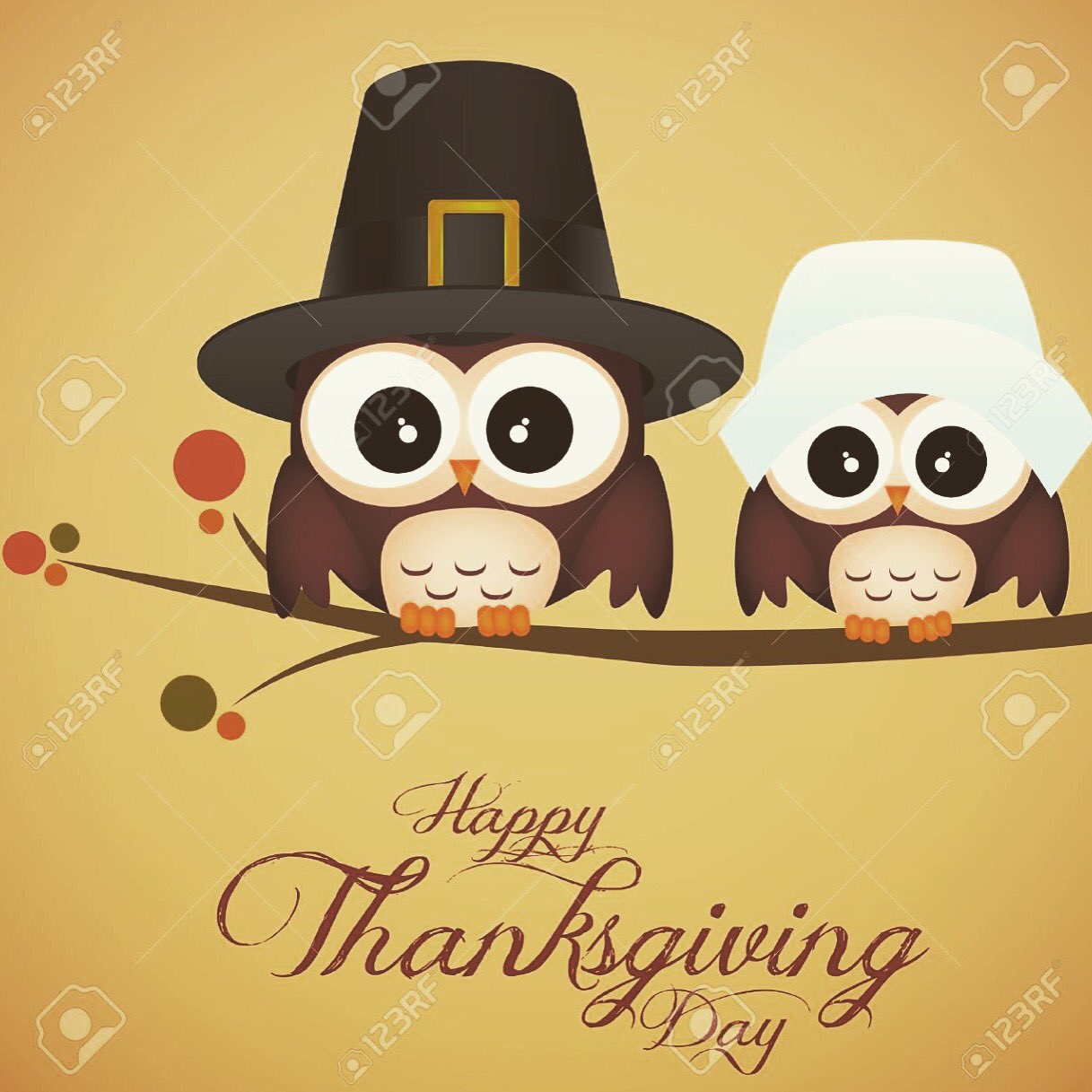 Happy Thanksgiving Owl