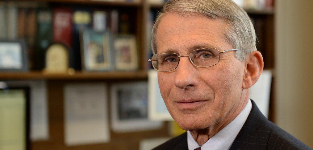 Benjamin Stein (@iambenstein) | Twitter