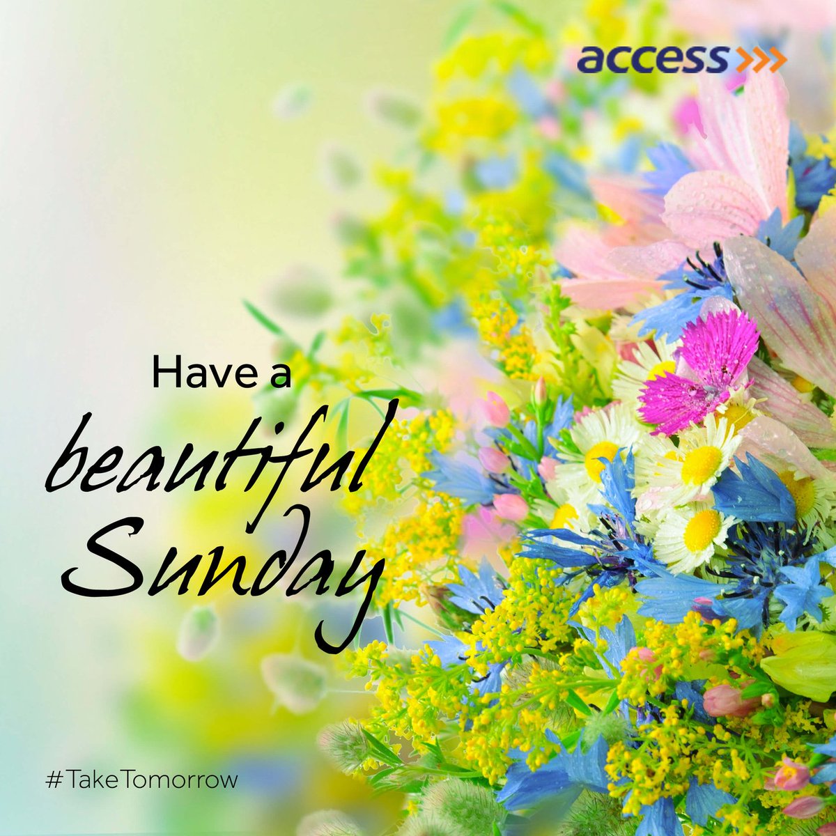 Peaceful Sunday Images