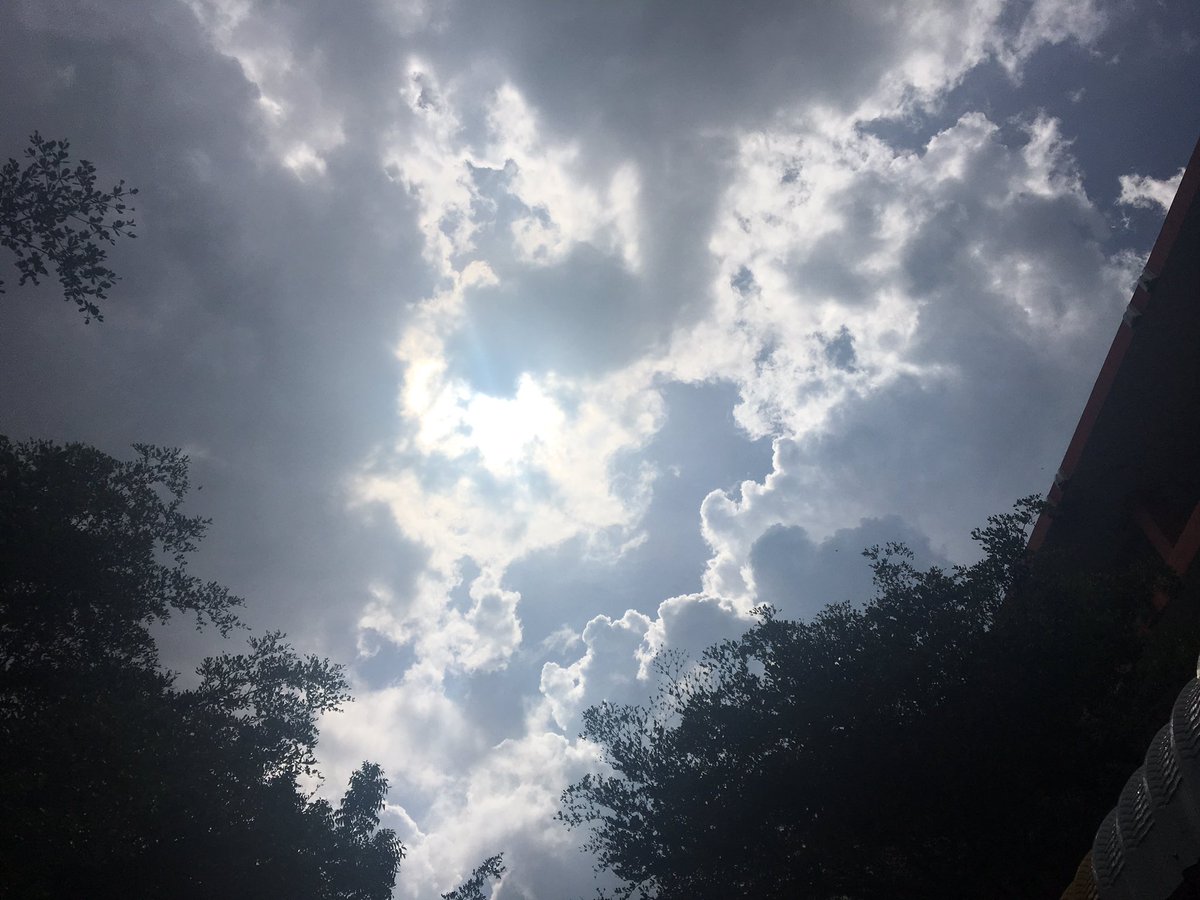 N'Patcha🖕🏻🖕🏻🖕🏻 (@P_patchanan_r) | Twitter