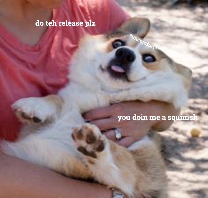 Corgi Puppies Memes
