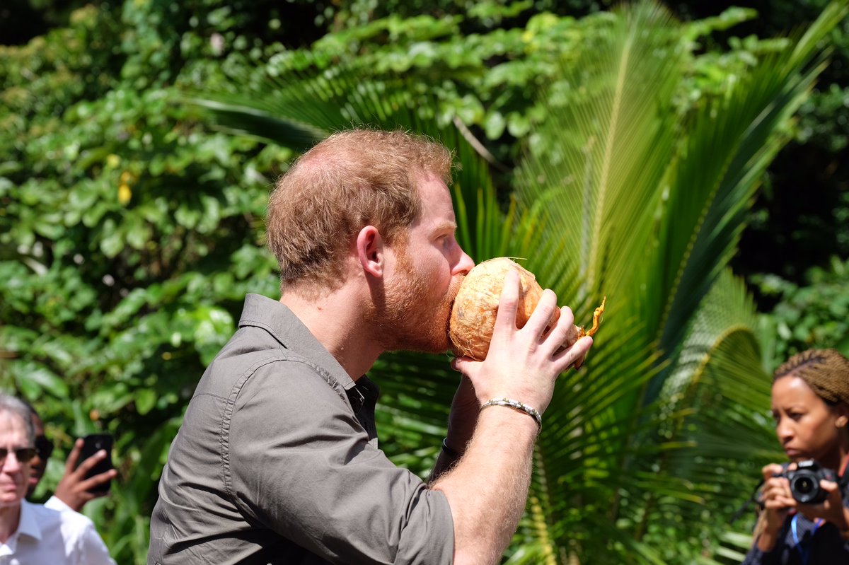 Тур принца Гарри: Сент-Винсент и Гренадины: ru_royalty — LiveJournal