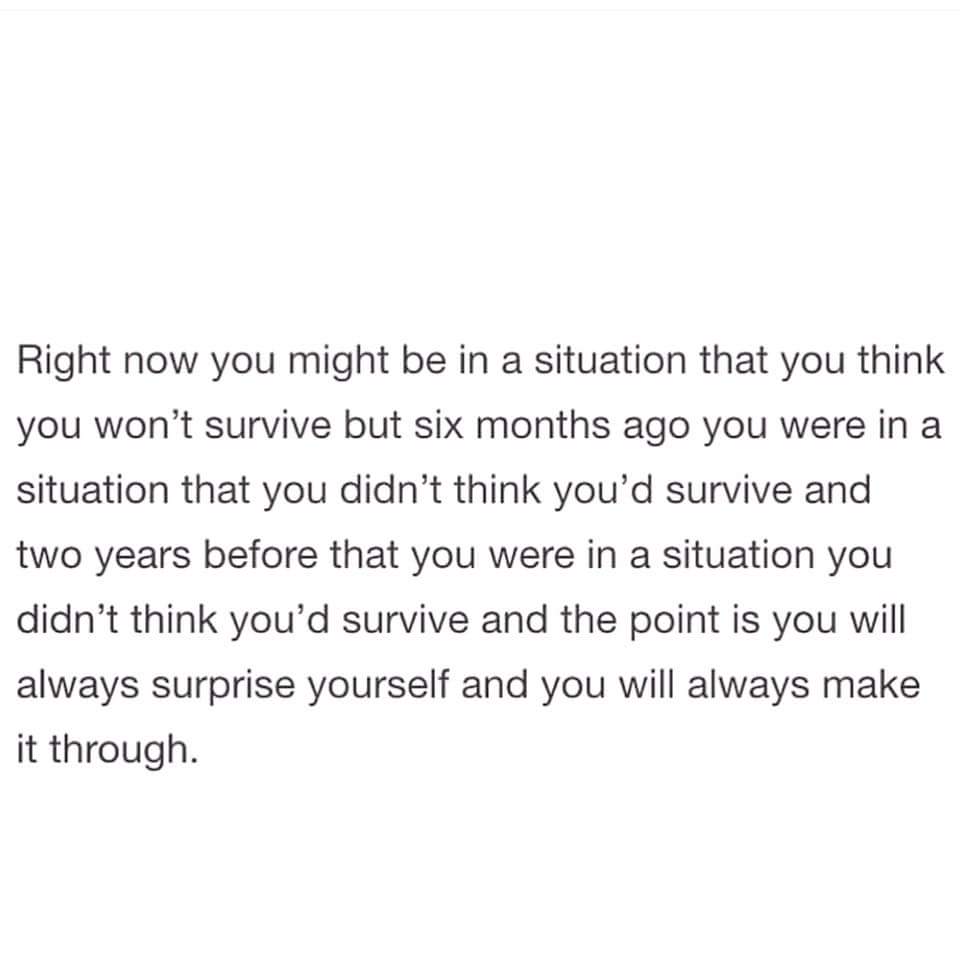 Brian Vides (@BrianVides) | Twitter