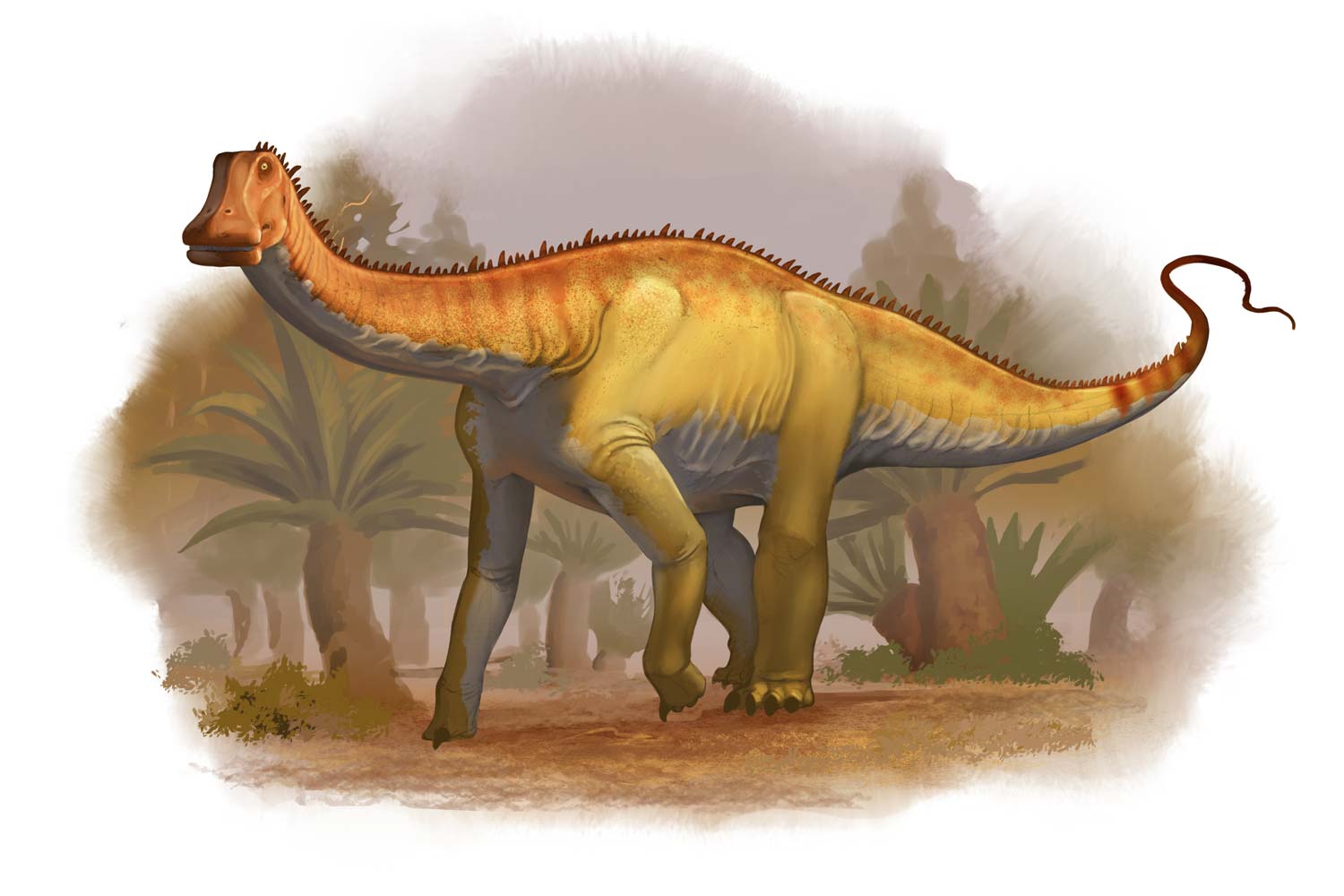 Nigersaurus Dinosaur