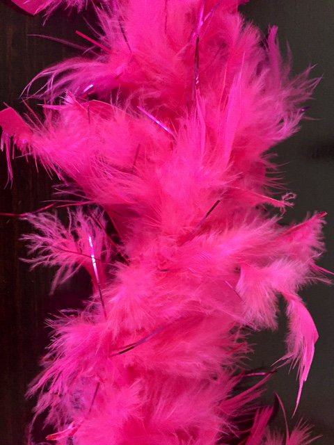 Pink Things In Nature