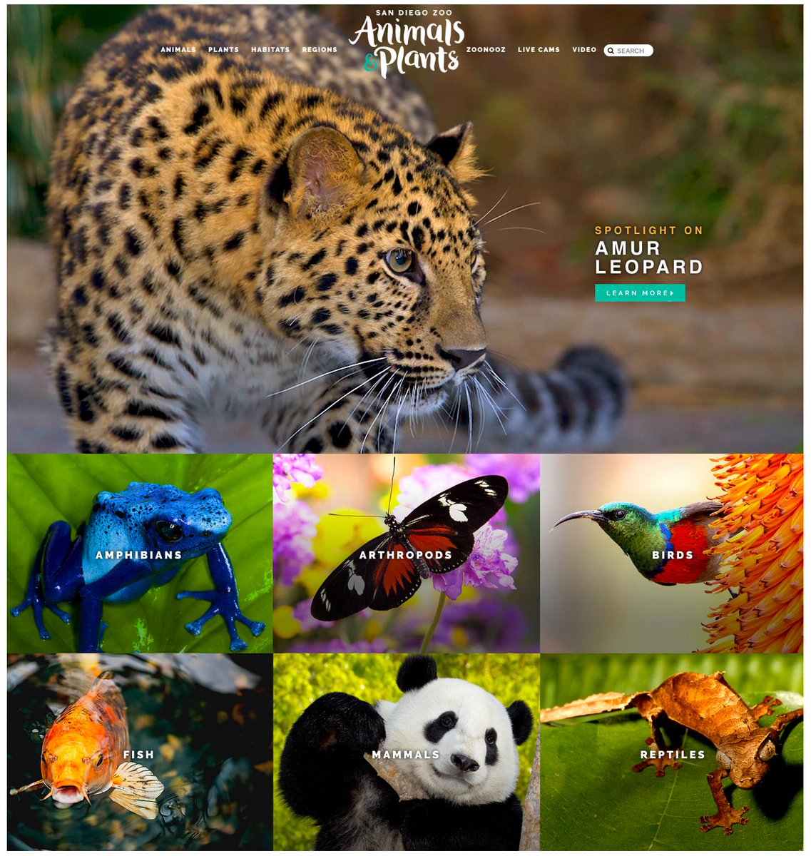 San Diego Zoo Pictures Of Animals And Plants At San Diego San Diego