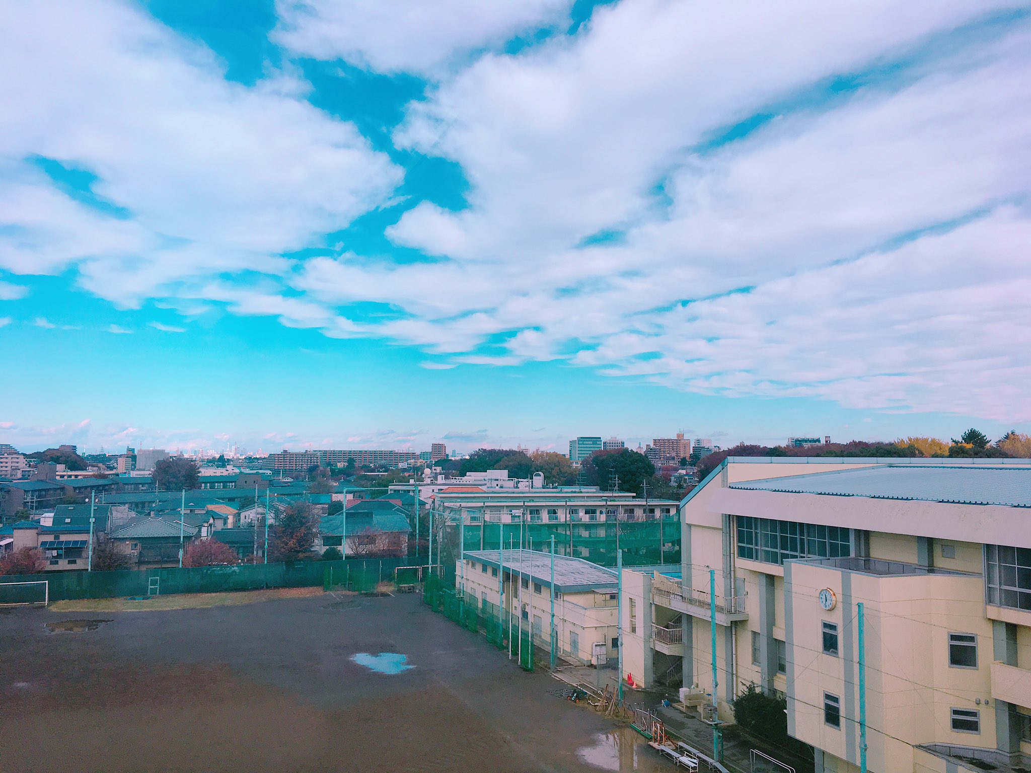 "Sora" (@Sora_coro_) / Twitter