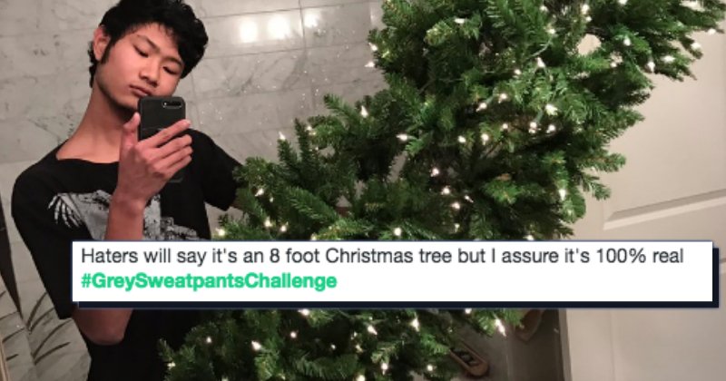 These hilarious people have elevated the Grey Sweatpants Challenge to ...