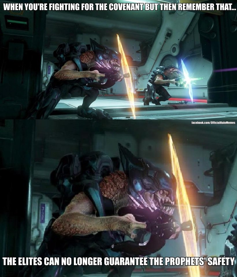 Halo Covenant Memes Humans Collaborating With The Covenant In Halo