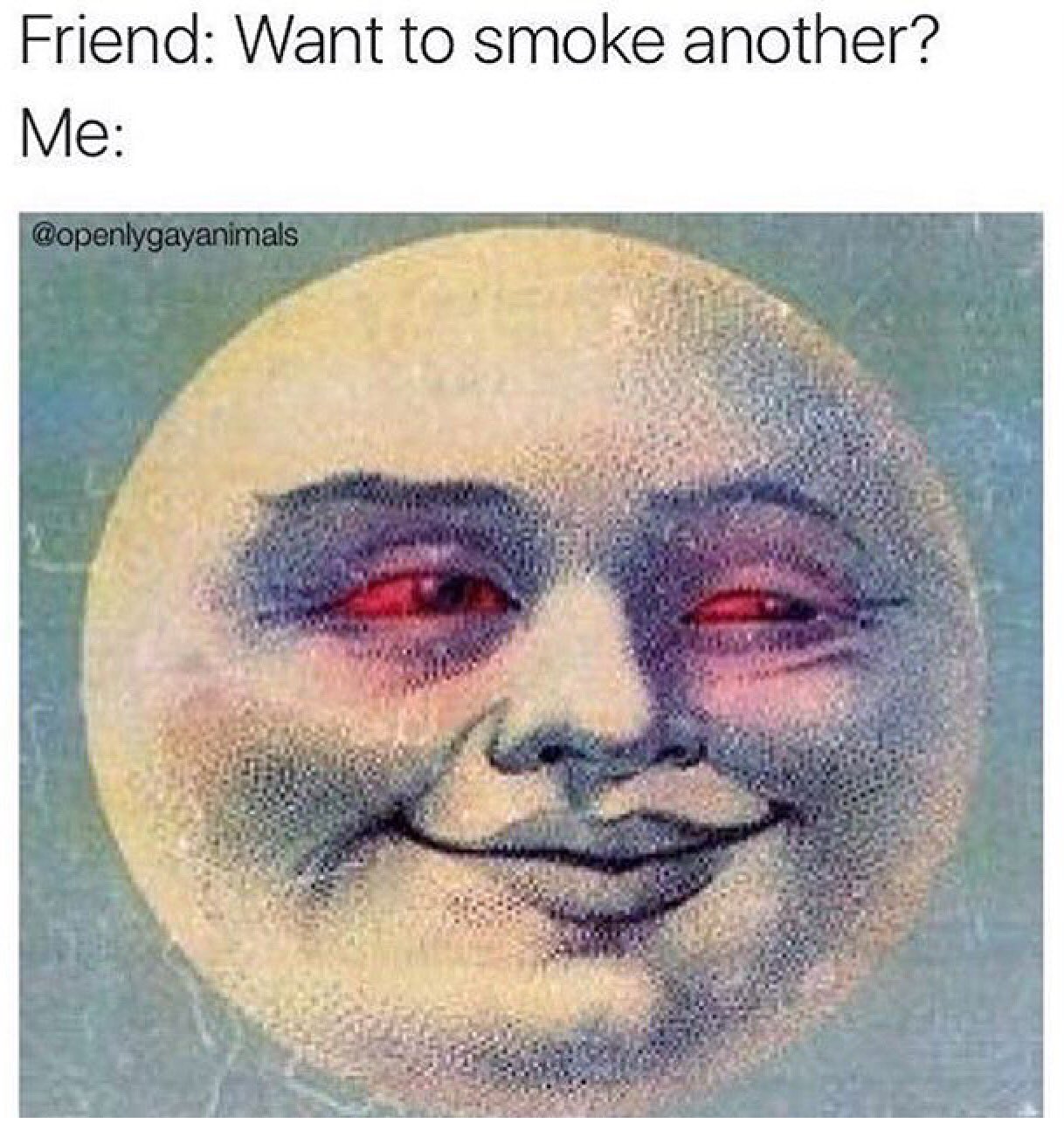 Red Eyed Stoner Memes