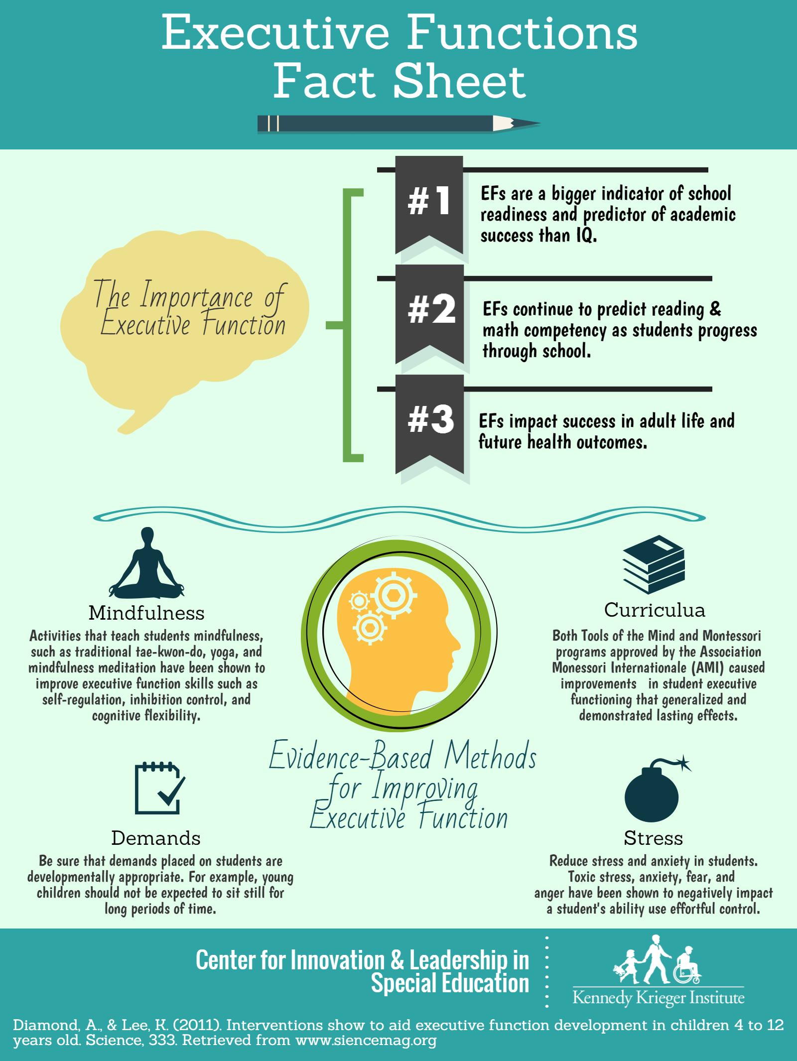 What Are The Executive Functioning Skills? Includes Free, 40% OFF