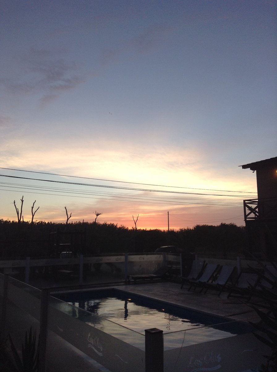 Soff (@sofi_pipiciello) | Twitter