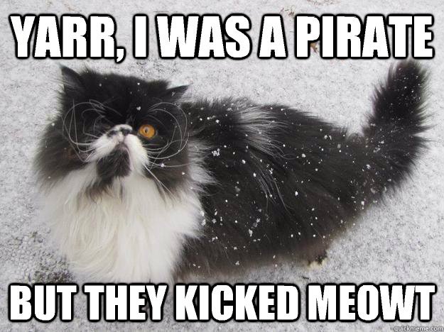 Pretty Kitty Memes