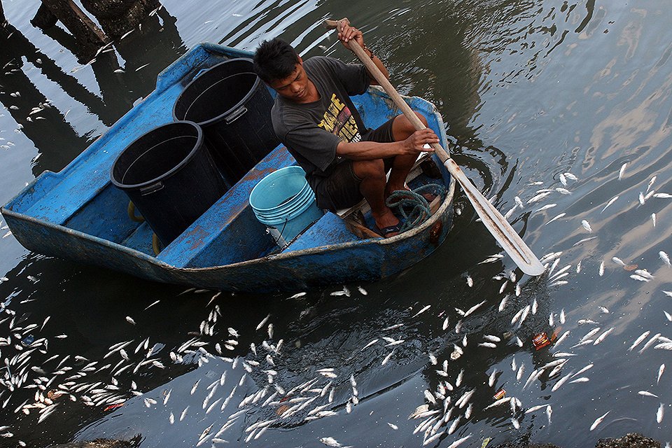 Lake Buhi in Camarines Sur has been declared under state of calamity ...