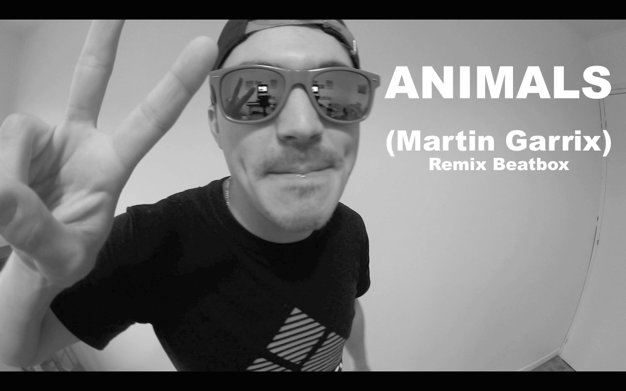 Martin Garrix Animal Wallpaper Martin Garrix Concert | Visit Estonia