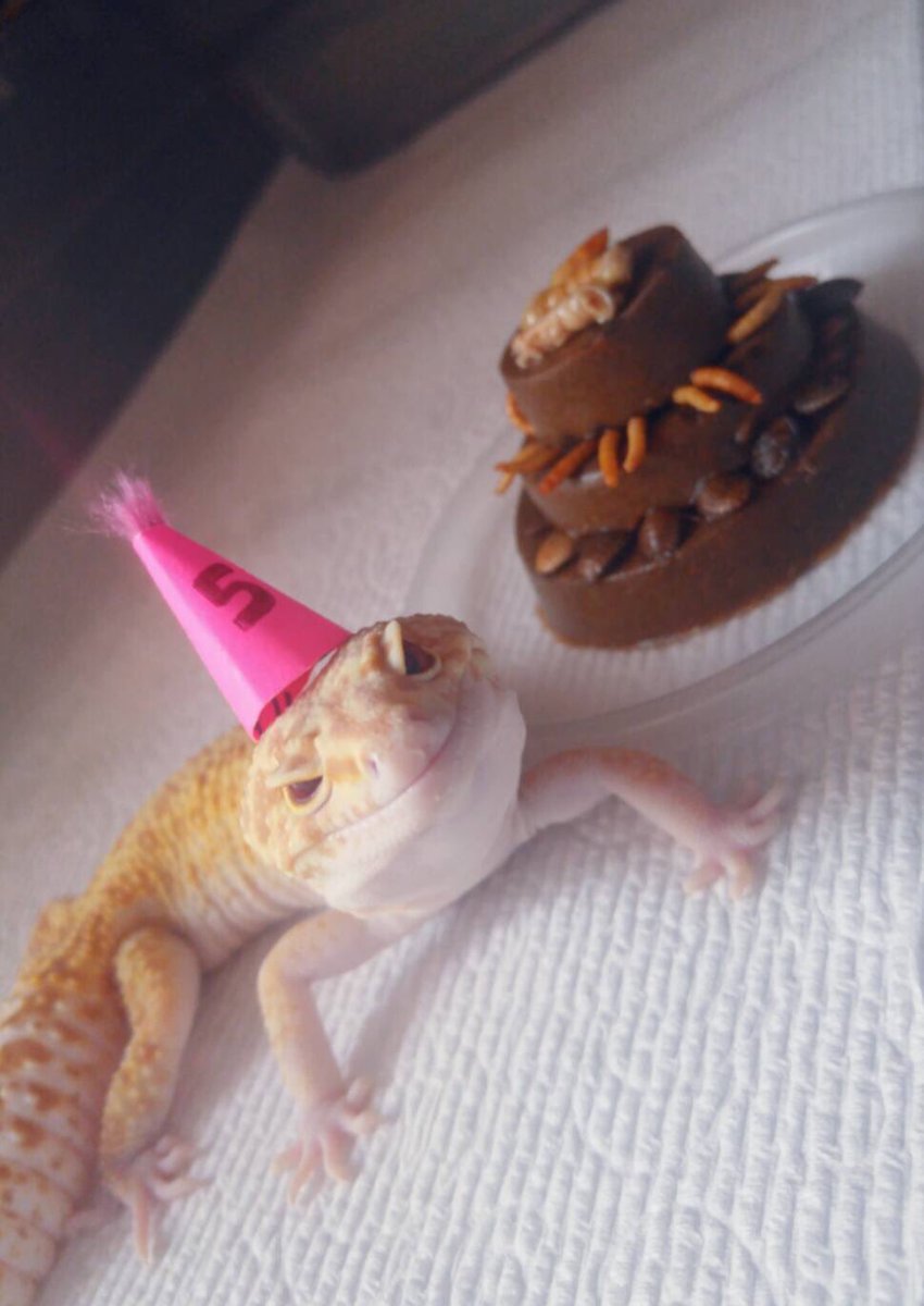 Happy Birthday Lizard