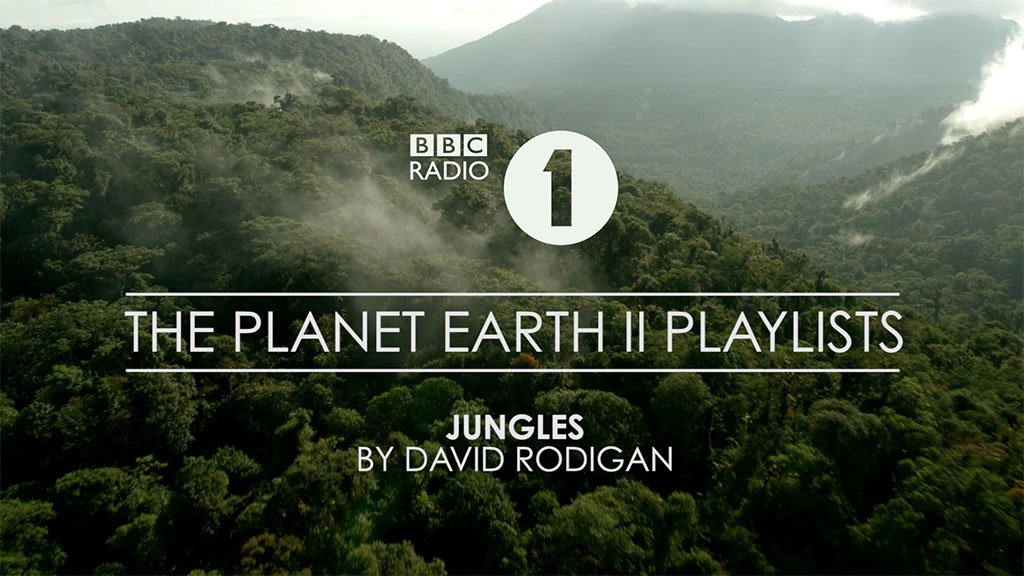 Bbc Planet Earth Jungles