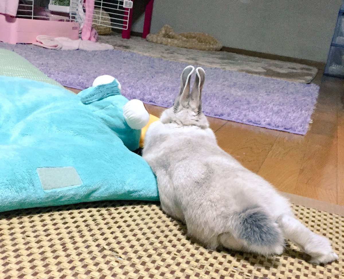 カモノハシペリーといちゃいちゃしちゃってやな感じ！