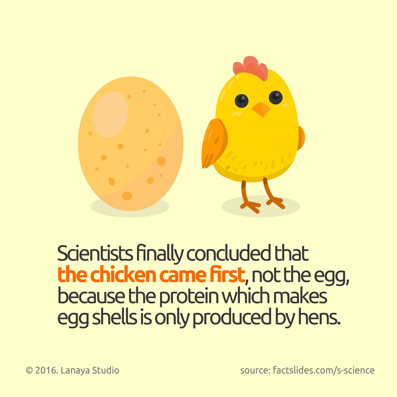 Chicken Egg Cartoon Which Came First