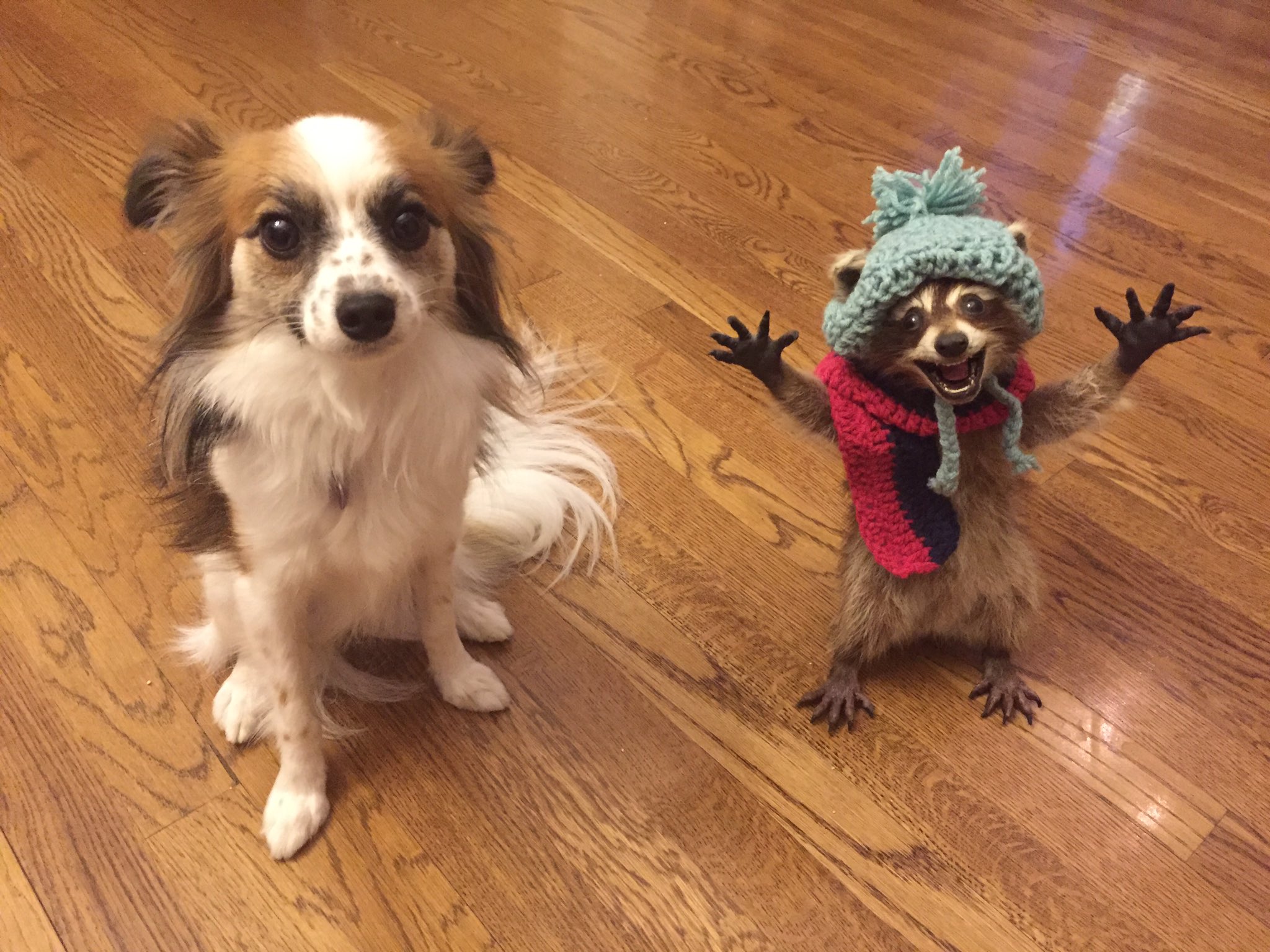 Vincent And Jenny Lawson