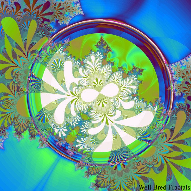 Steve Lawrence on Twitter: "Well Bred Fractals new fractal 54…
