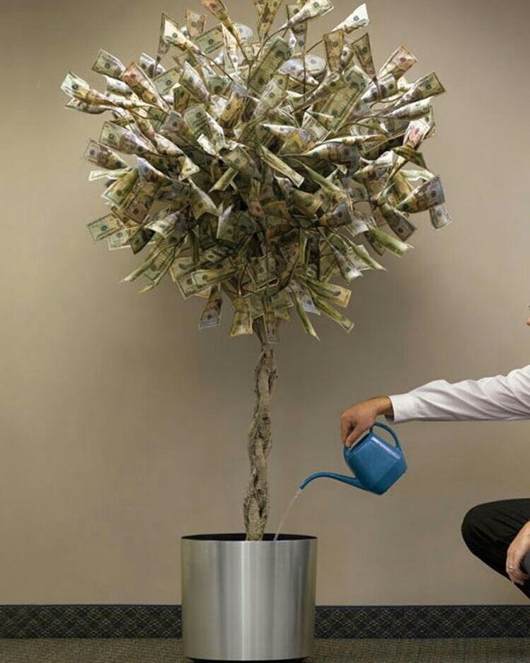 Emine Baran (@EMINE_BARAN_) | Twitter