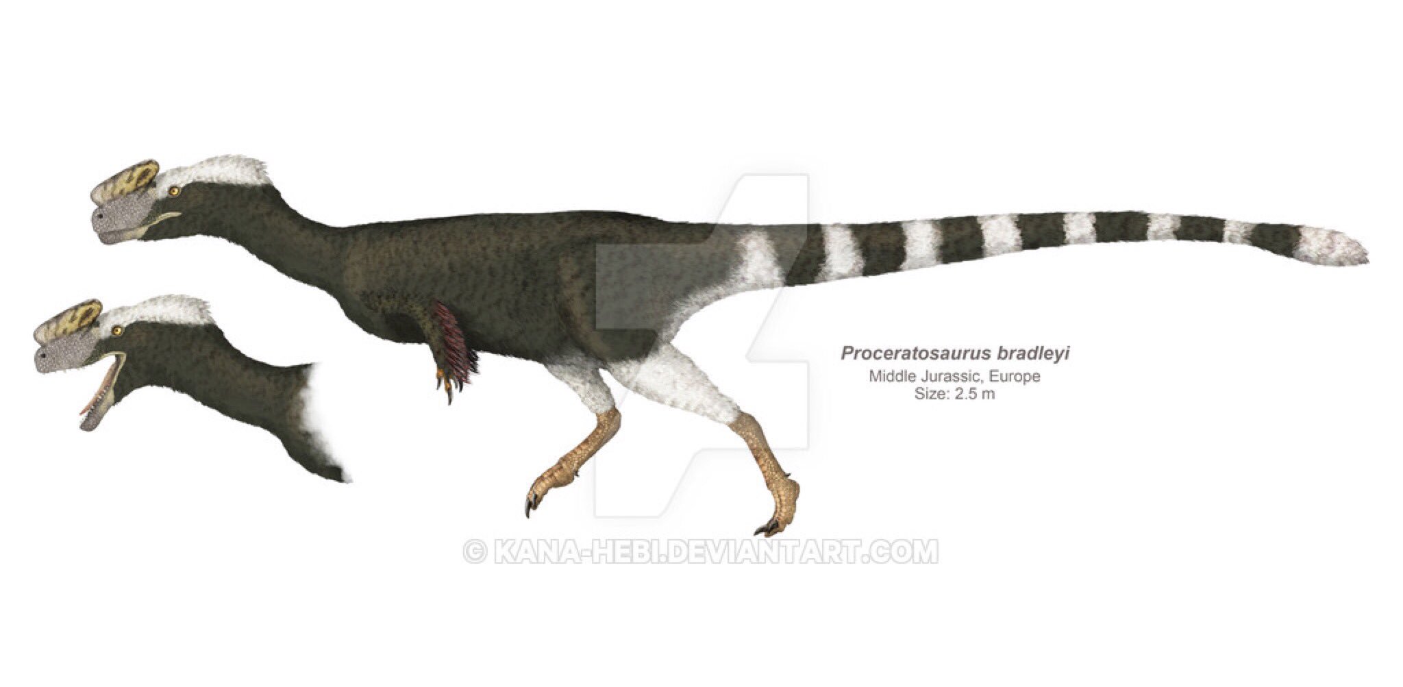 Proceratosaurus