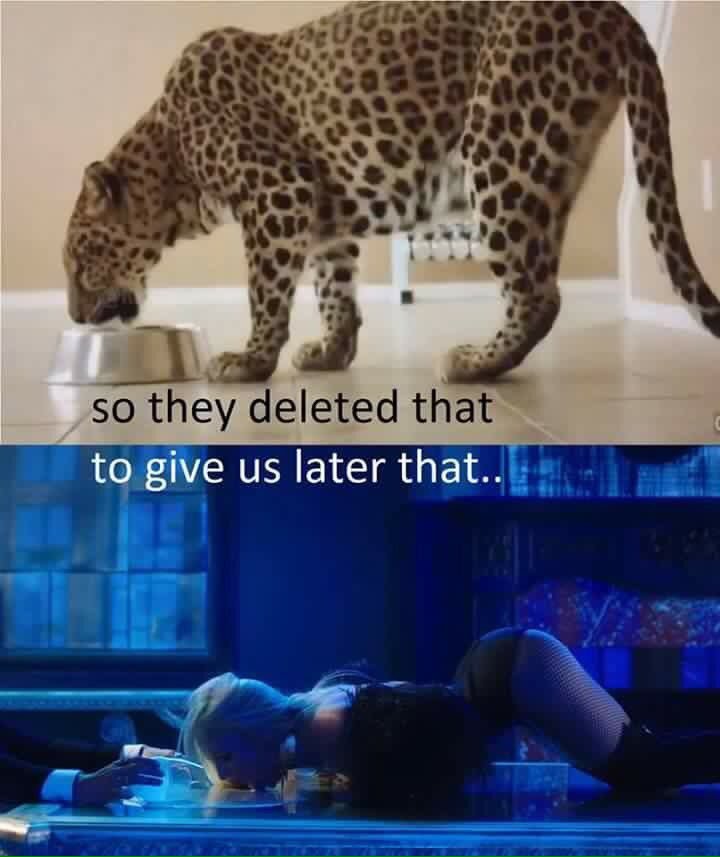 Laughing Leopard Memes