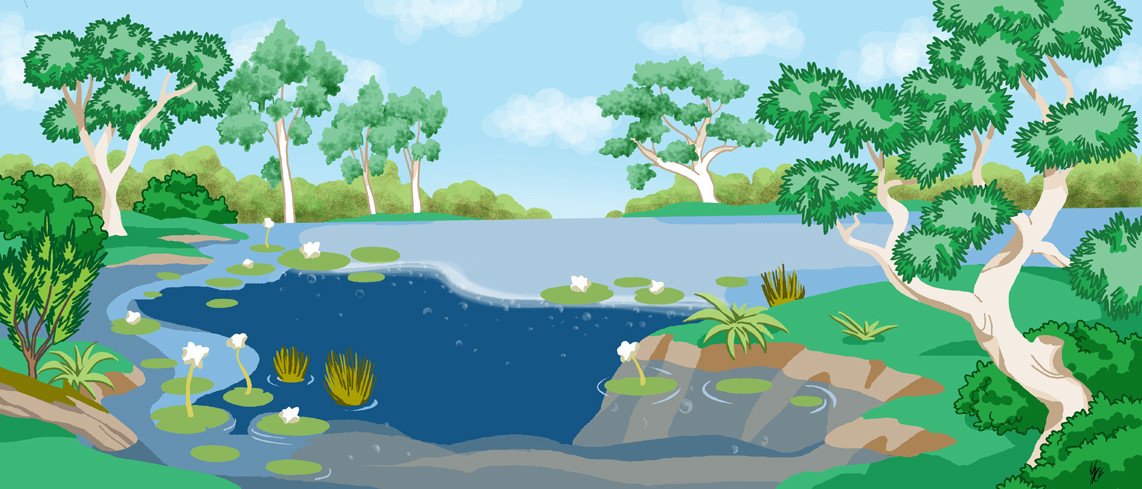 Sofyan Syarief (@SyariefSofyan) | Twitter