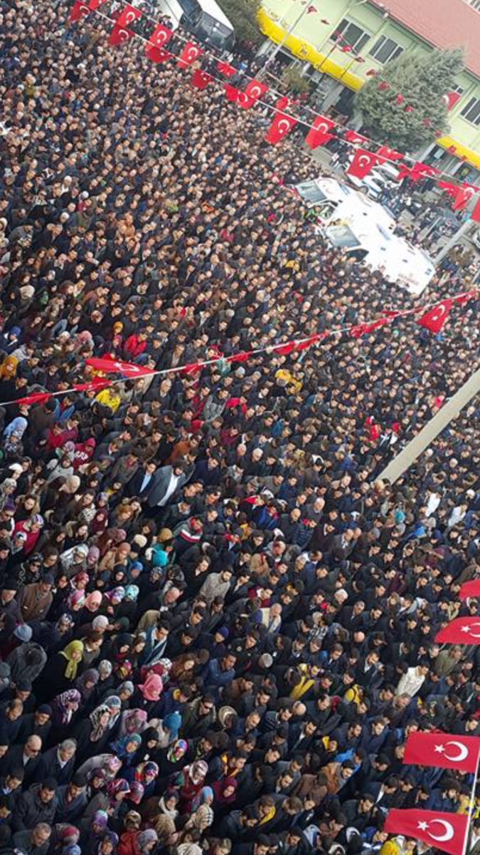 Sezer Mesut Aslan MD (@sezermesut) | Twitter