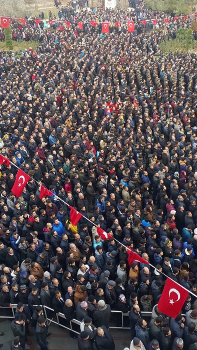 Sezer Mesut Aslan MD (@sezermesut) | Twitter