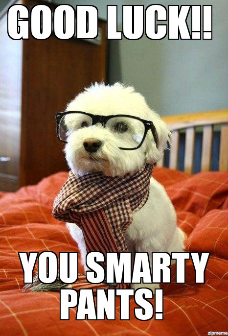 Good Luck Dog Meme