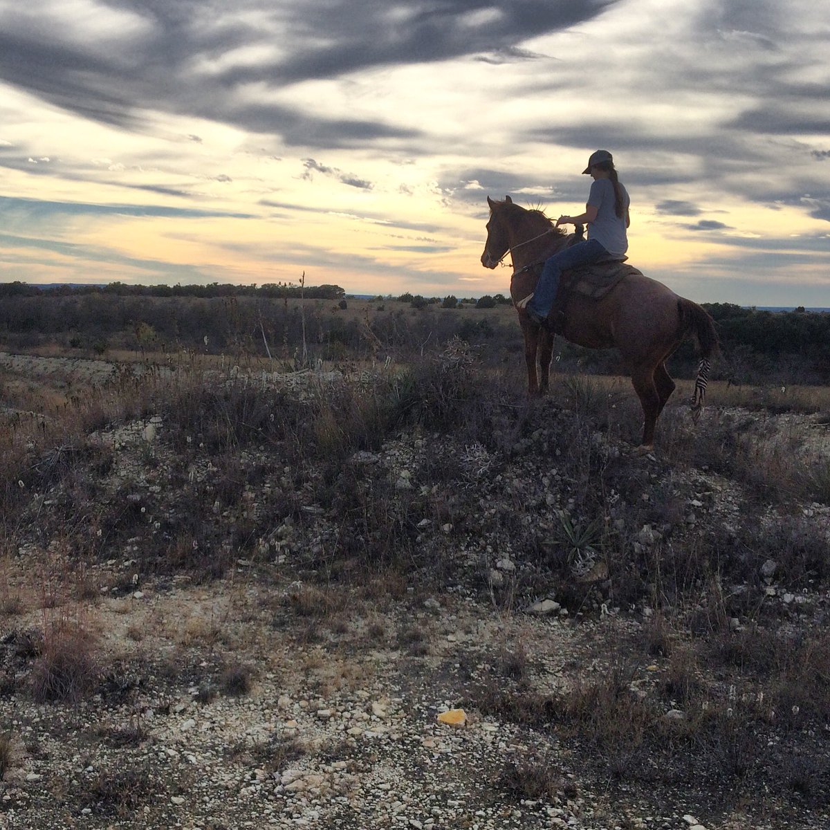 Sydney Seidel (@sydney_seidel) | Twitter