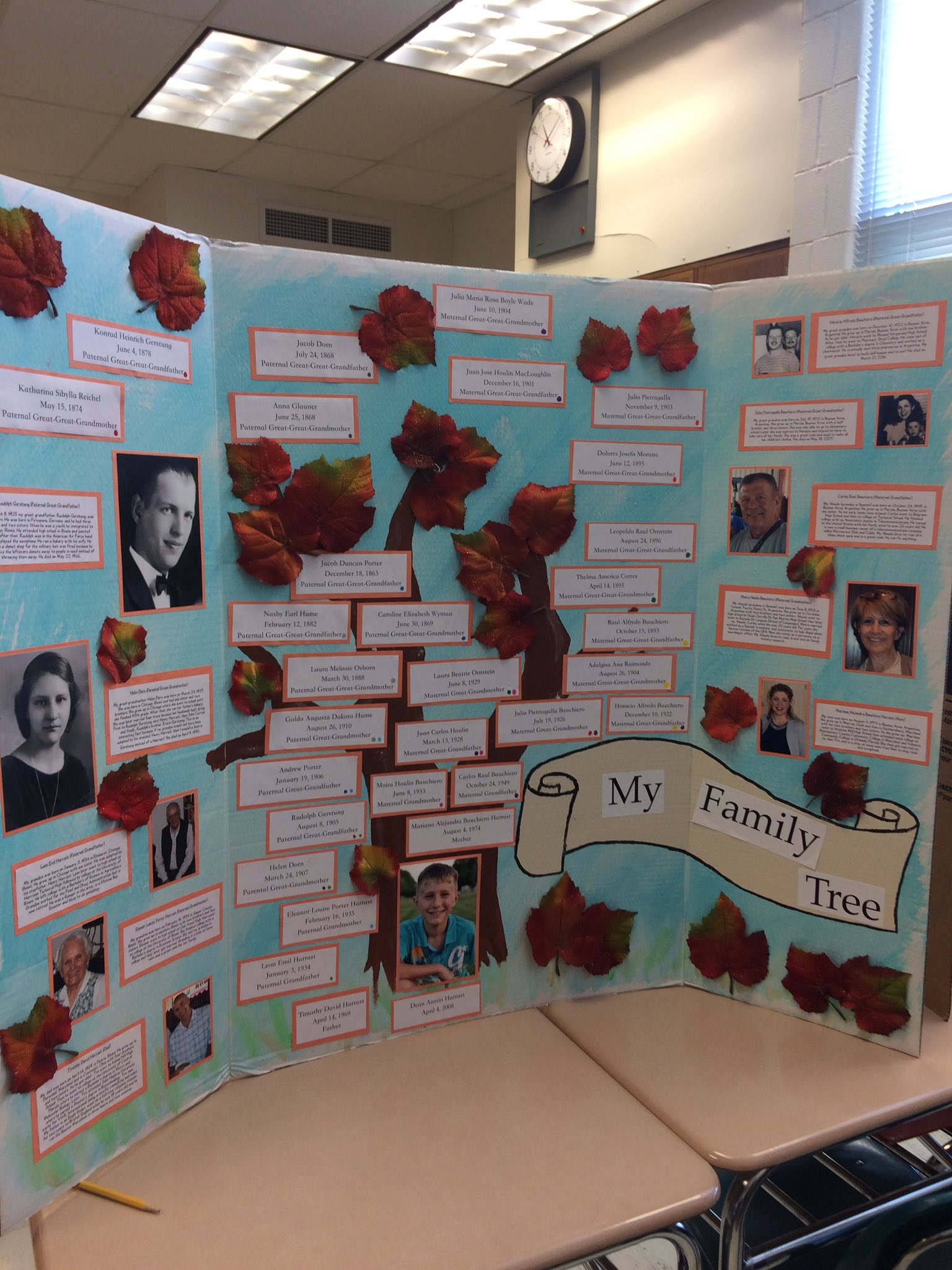 Family Tree Ideas On Poster Board