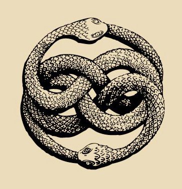 Snake Eating Itself Symbol
