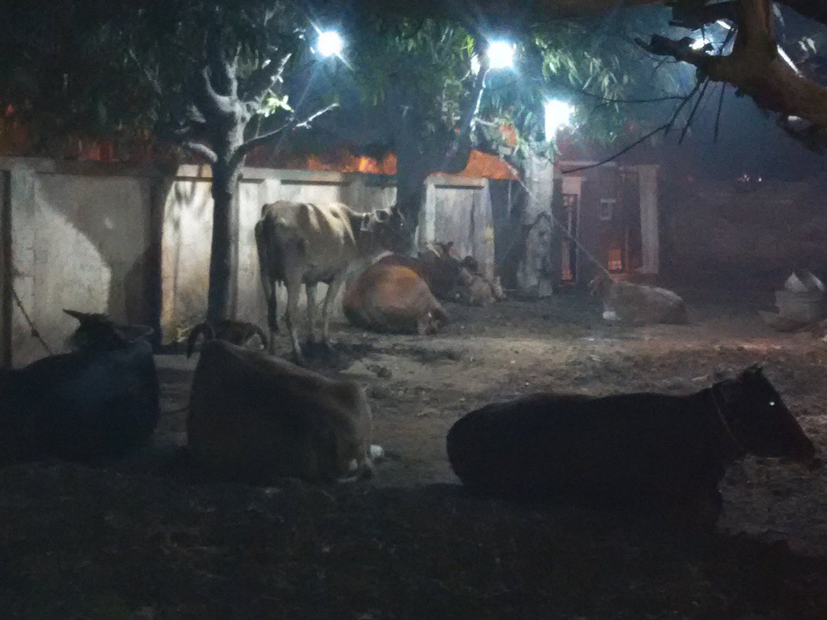 Harshdeep Gill (@Harshdeep_Gill) | Twitter