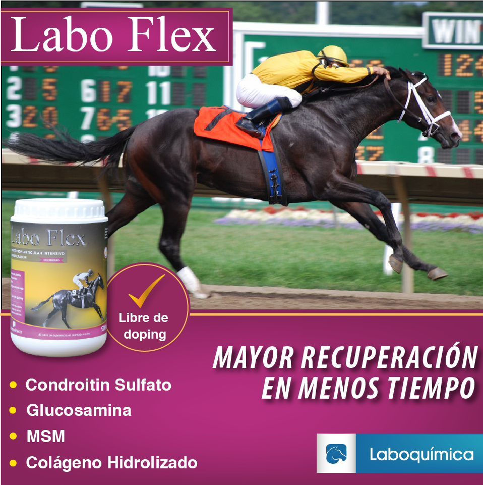 Laboquímica (@Laboquimica) | Twitter