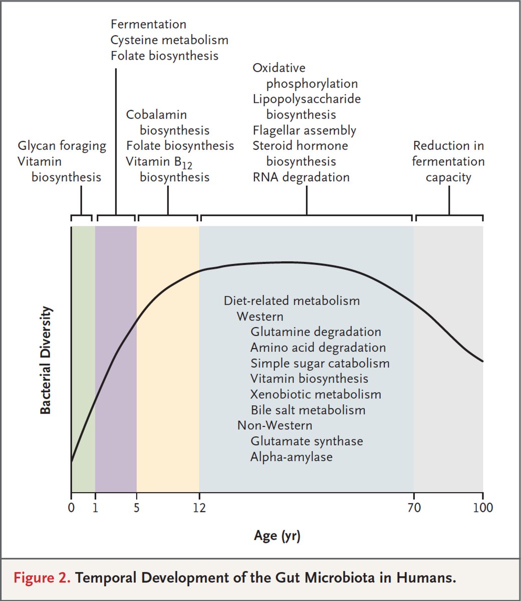 Charlie Lees (@charlie_lees) | Twitter