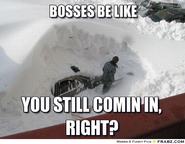 Managers Be Like Snow