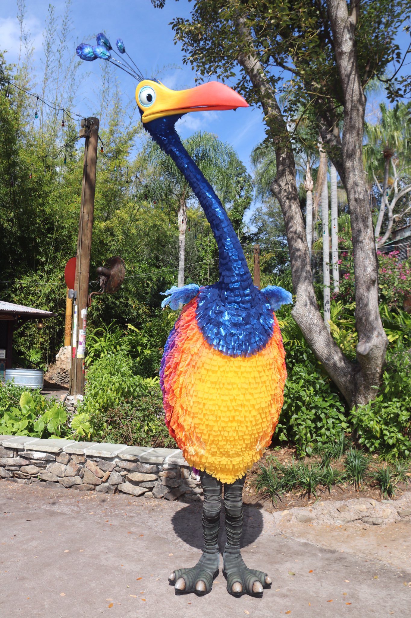 Kevin Up Bird Chocolate