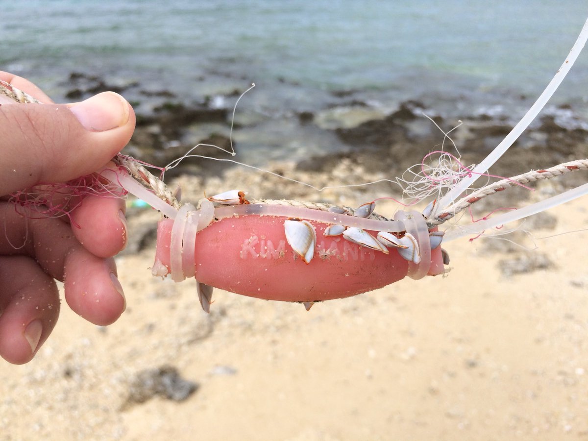 さいとう貝(@shellworks) - Twilog (ツイログ)