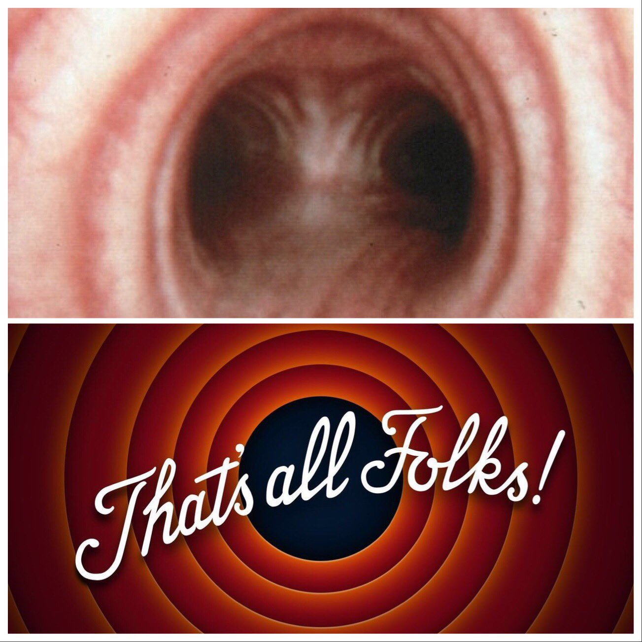 Looney Tunes Ending Gif