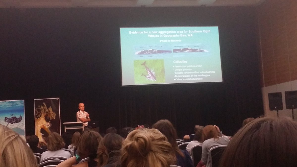 Oceans Blueprint (@OceansBlueprint) | Twitter