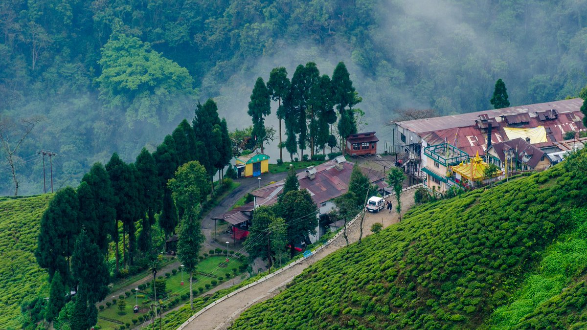 Happy Valley Tea Estate, Famous and Oldest Tea Estate of Darjeeling